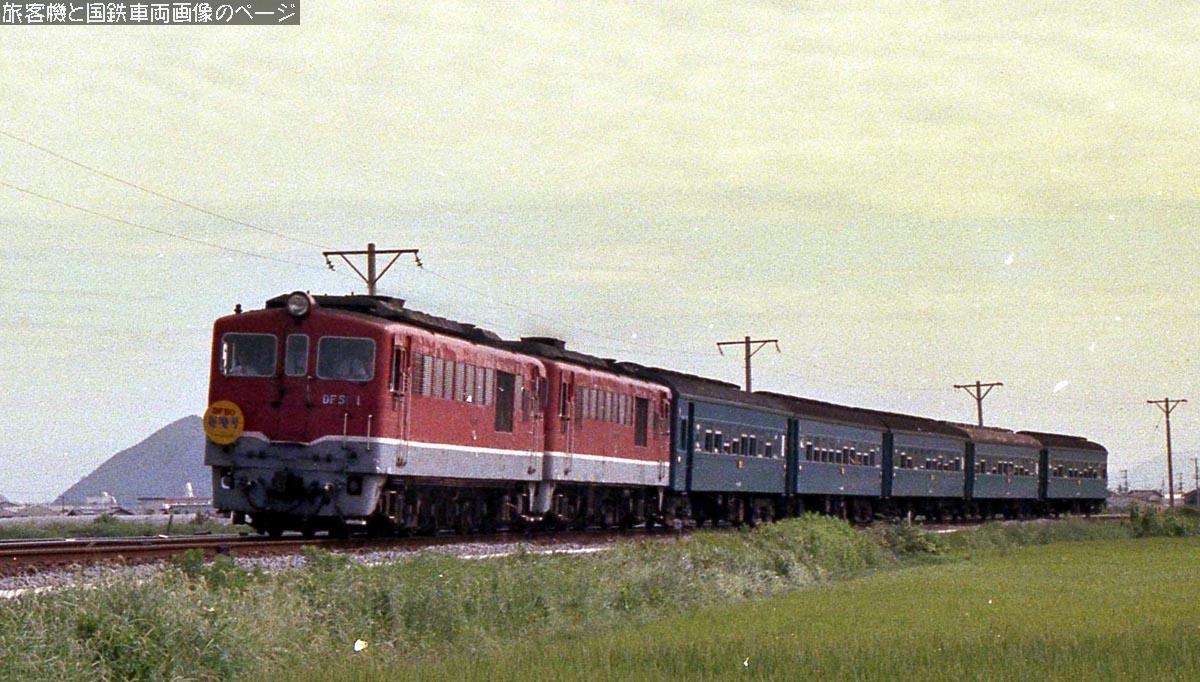 DF50 1 の画像です